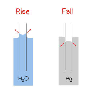 Surface Tension and Capillary Action