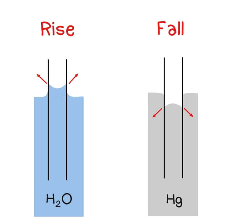 Surface Tension and Capillary Action